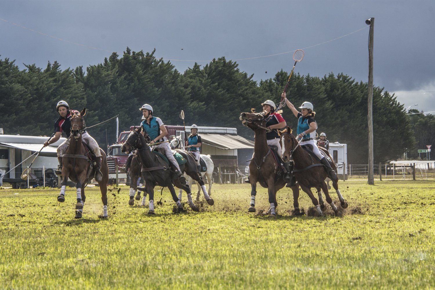 2018 Polocrosse Gallery - Sale Polocrosse Club Sale Polocrosse Club ...