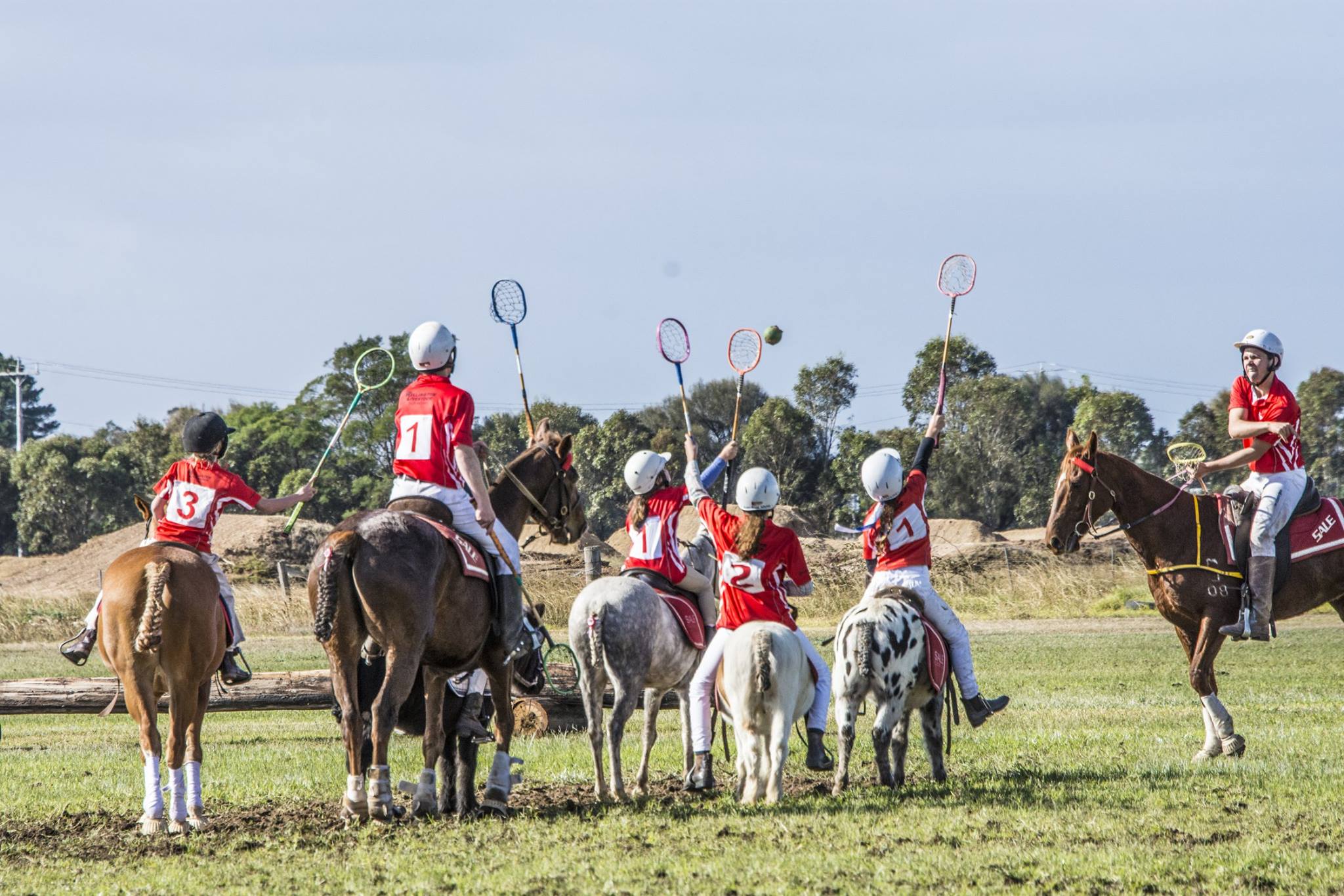2018 Polocrosse Gallery - Sale Polocrosse Club Sale Polocrosse Club ...